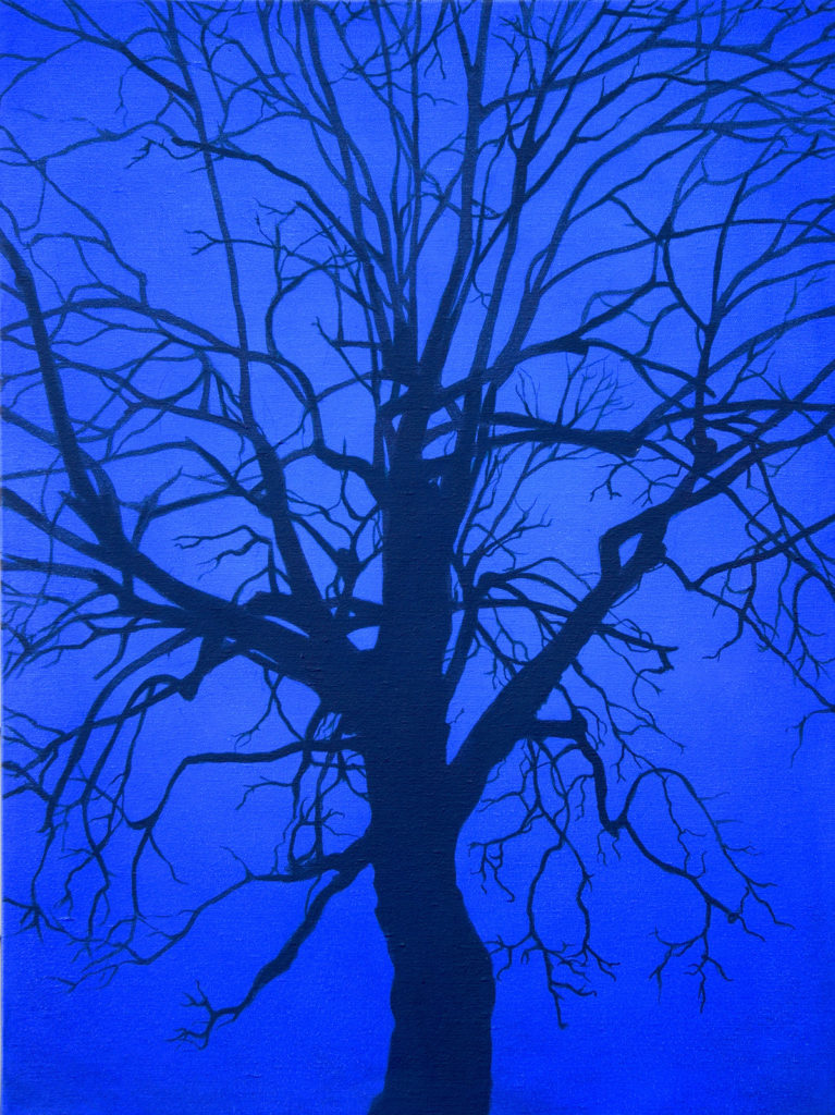 EPIC ALAMEDA BLUE HOUR TREE - Joseph Surface | Paintings by Shanon Playford